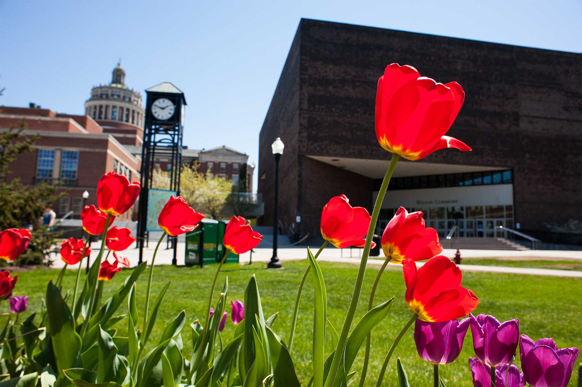 Promote equity + access - Together for Rochester - Advancement