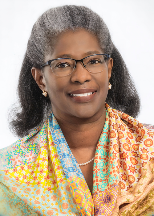 Meet the Black Alumni Network Leaders - Advancement