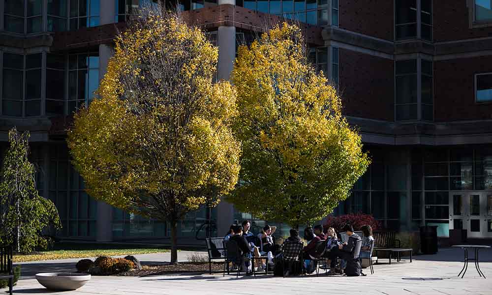 University of Rochester