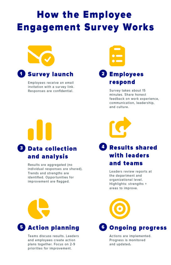 Turning feedback into action: Employee Experience Survey 2025 | Office ...