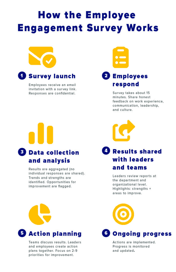 Turning feedback into action: Employee Experience Survey 2025 | Office ...
