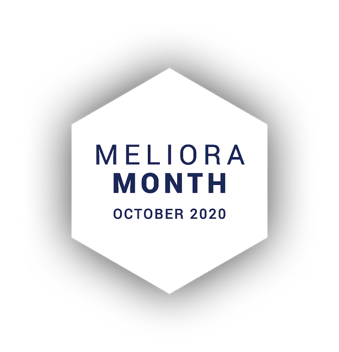 Meliora Month – University of Rochester