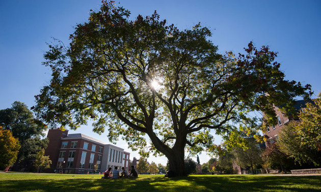 University honored with Tree Campus USA recognition : News Center