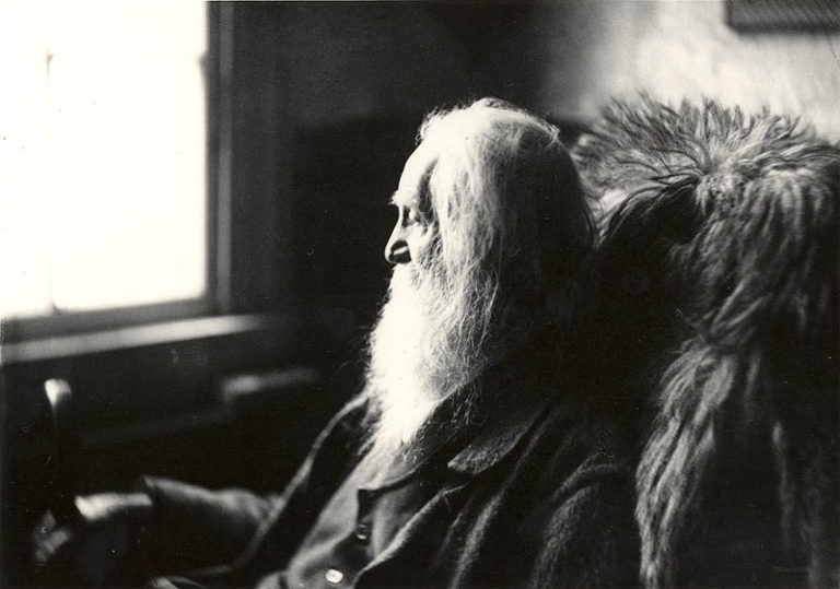 Walt Whitman ‘more important now than ever’ Walt Whitman more important now