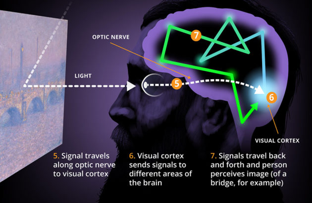 The science of seeing art and color
