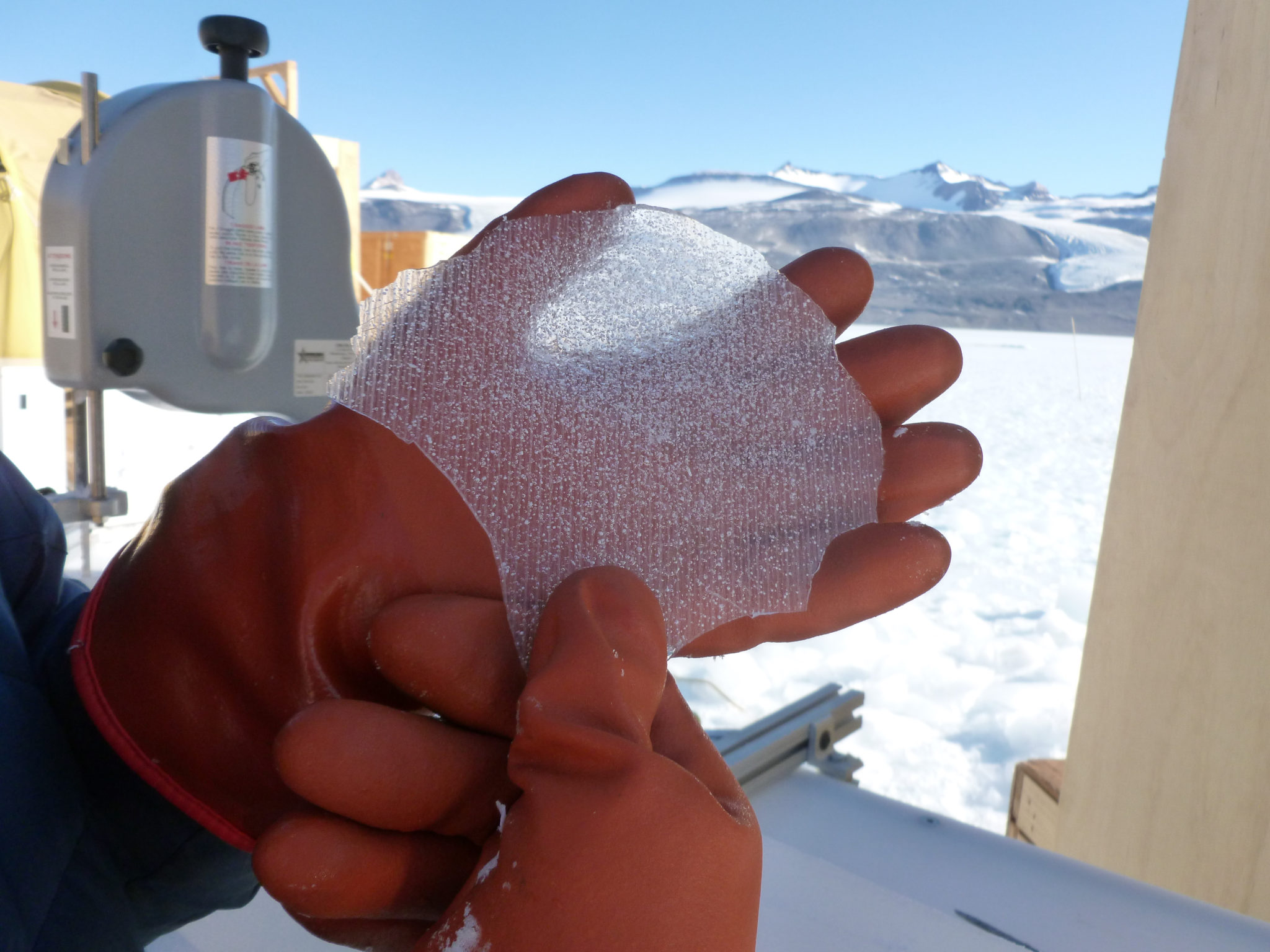 To combat climate change, human activities more important than natural ...