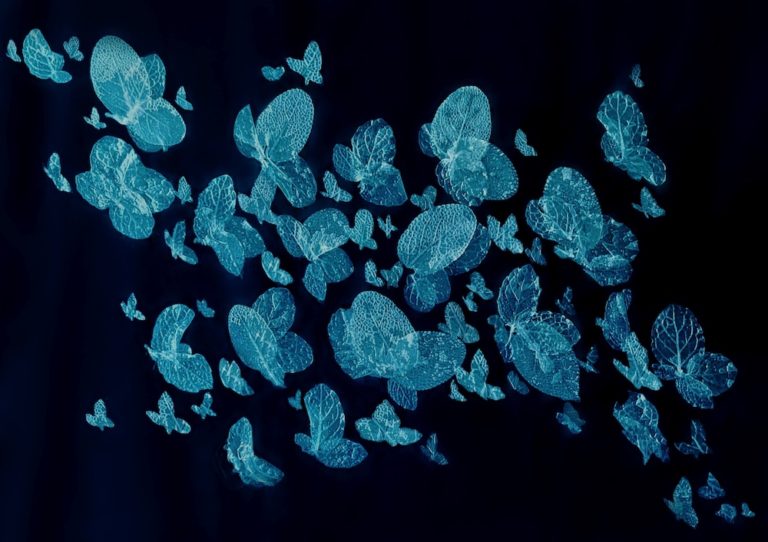 Microscopes and soap bubbles show the 'art of science'